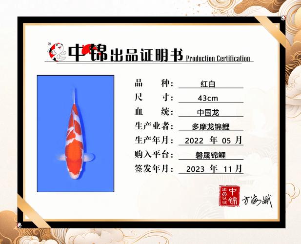 头条锦鲤是多少钱