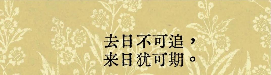 时光不可追的意思截图