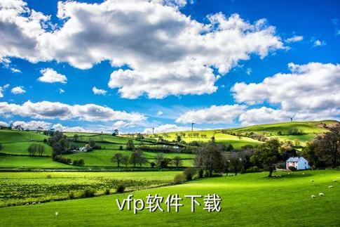 vfp安装包下载图标