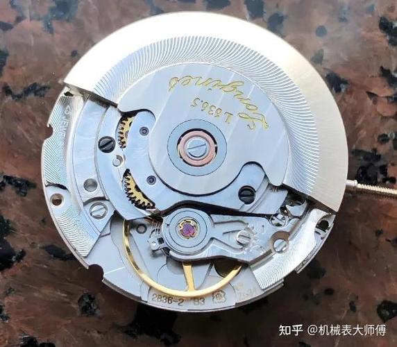 帝舵手表一般寿命几年图标