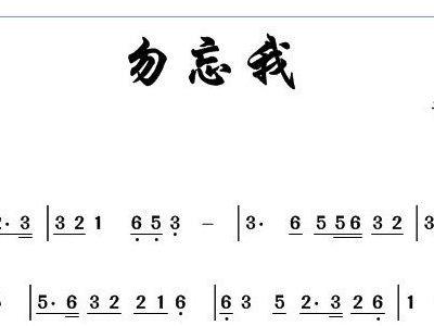 勿忘我音乐