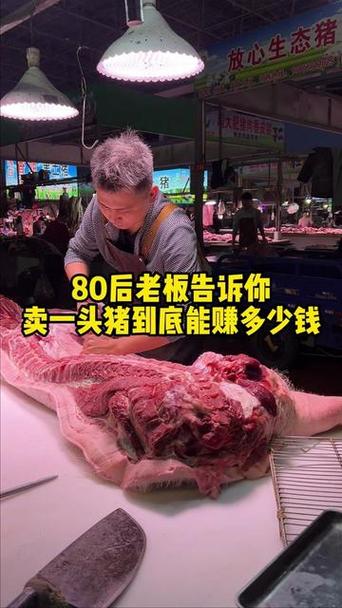 猪赚头图标