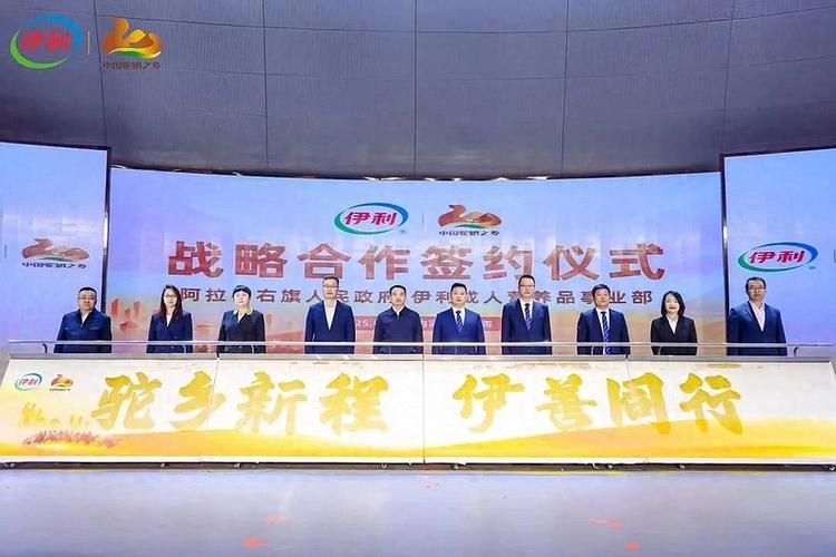 2025进乡街视频观看方式与注意事项