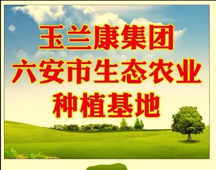 玉兰康集团做什么截图