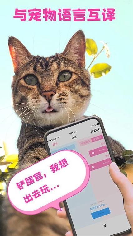 猫翻译器软件有用吗图标