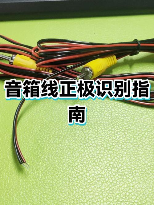 音箱黑白线是正极还是负极图标