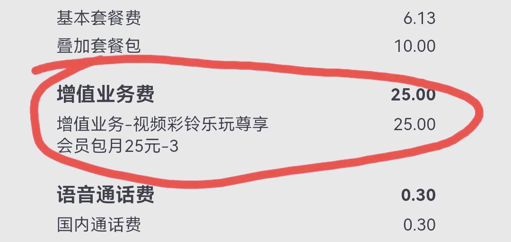 打电话视频彩铃收费吗截图