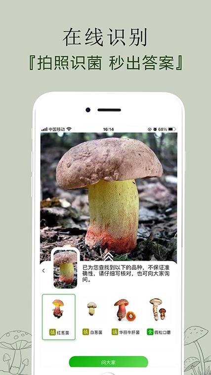 扫一扫识别野生菌截图