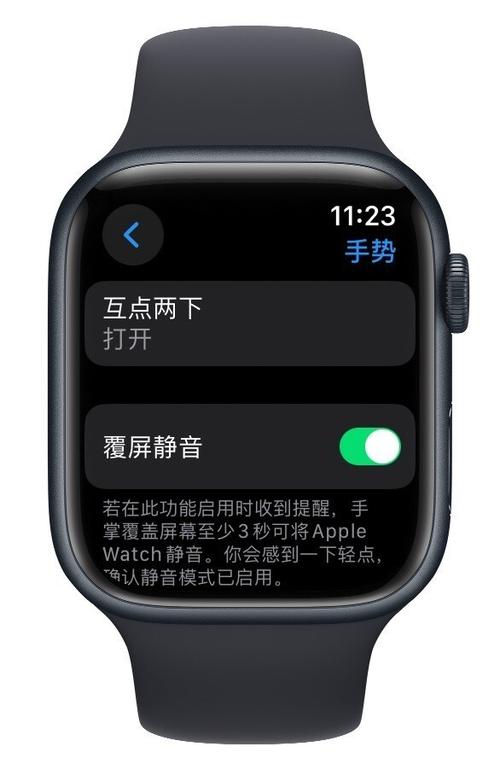 苹果手表手势设置方法图标