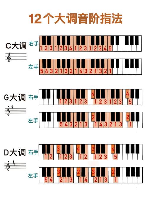 电子琴54键盘图解截图
