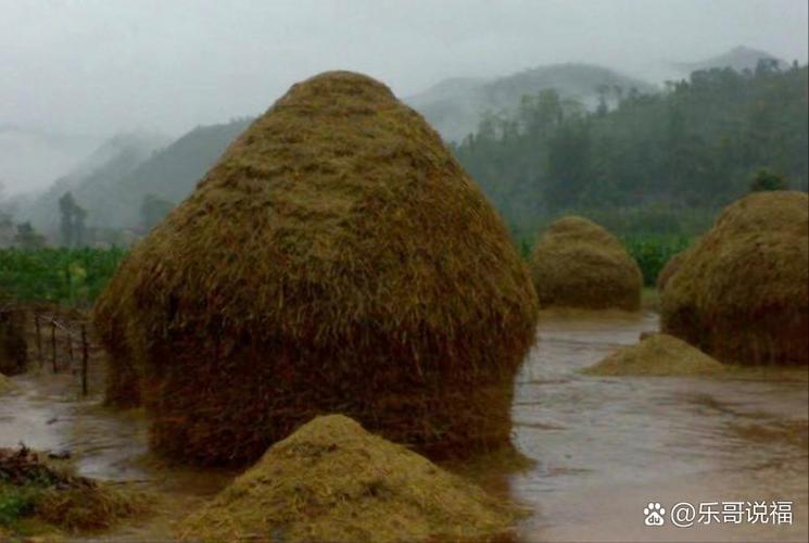 老版麦池图标