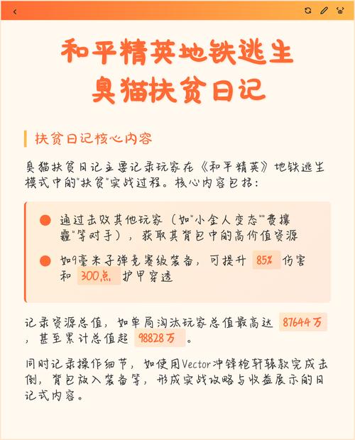 臭猫扶贫日记视频图标