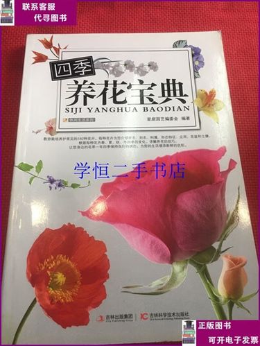 送花数字吉利数字图标