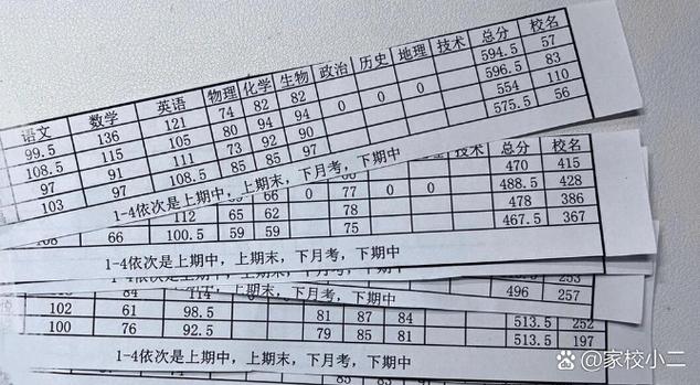 学生成绩单如何导入图标