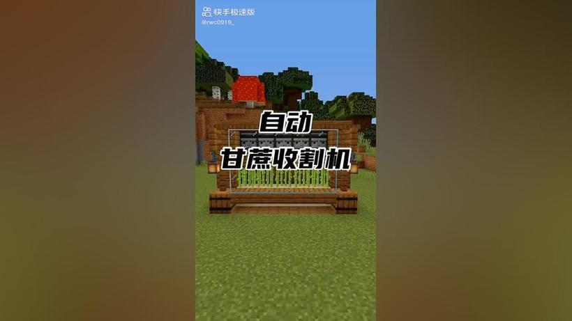 我的世界甘蔗自动机图标