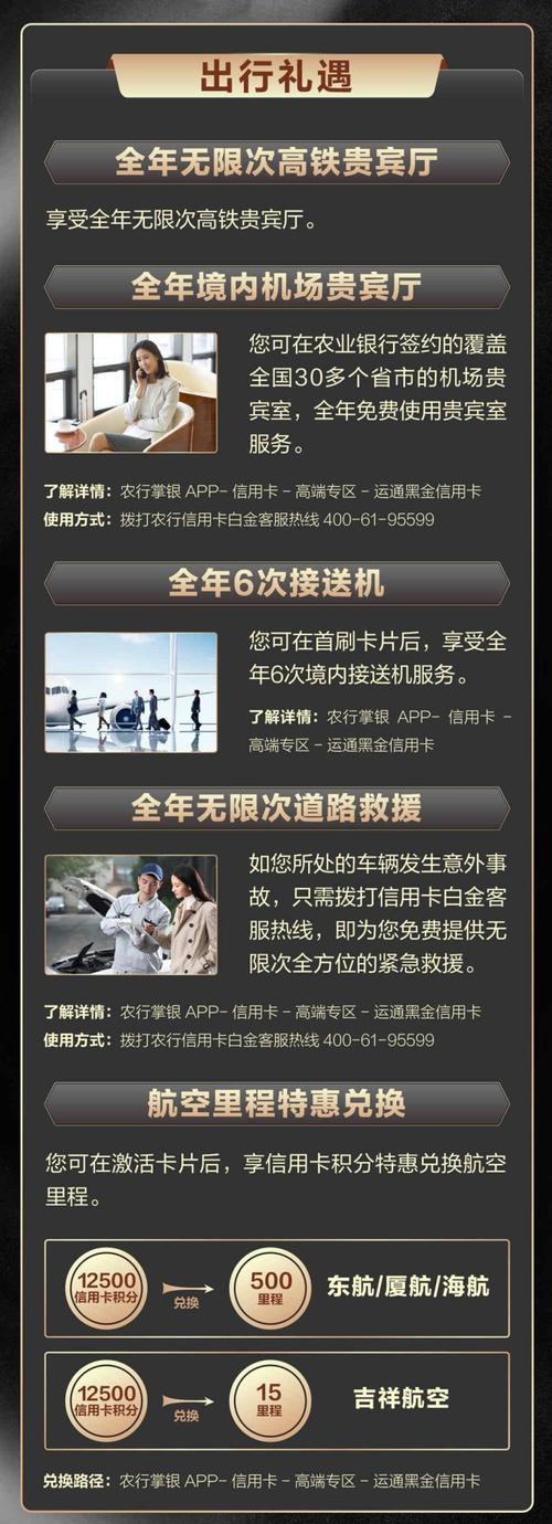 黑金步数官网图标