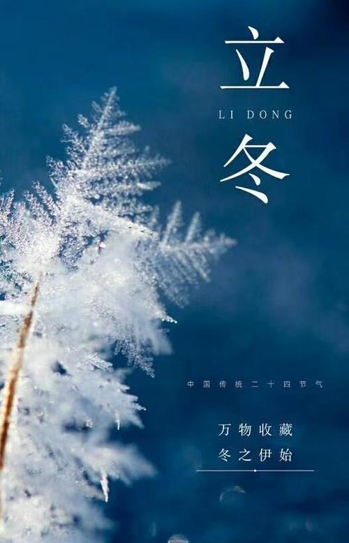 初冬暖阳诗句图标