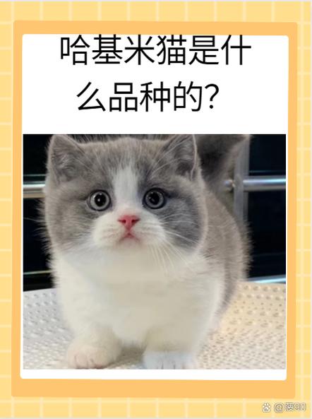 萌喵是什么意思截图