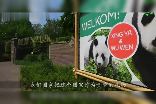 外国租赁大熊猫的费用