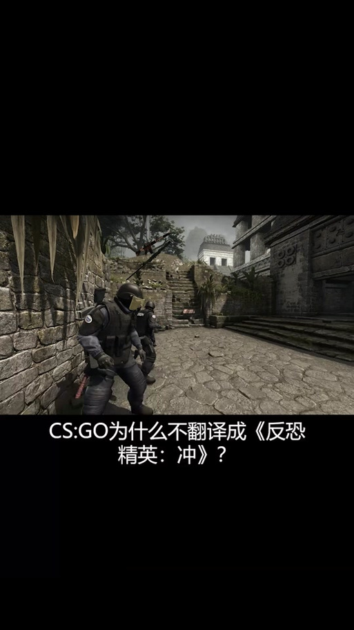 csgo什么意思图标