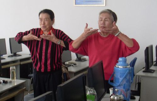 岳奇峰站式动练法正确方法图标