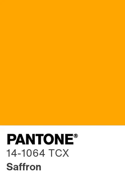 颜色pantone图标