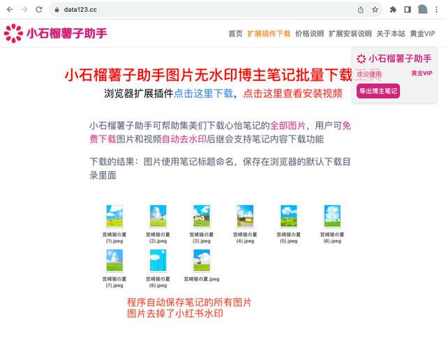 怎样导出小红书的图片图标