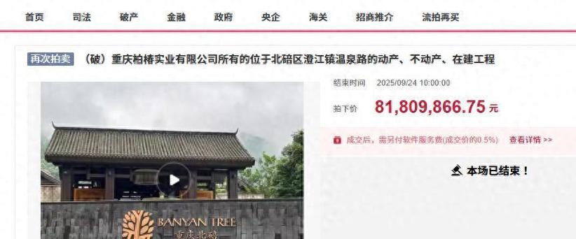 重庆拍卖公司十大排名图标