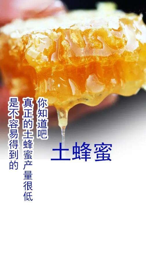 土蜂能产蜂蜜图标