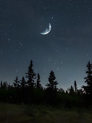 真实夜晚星空图片
