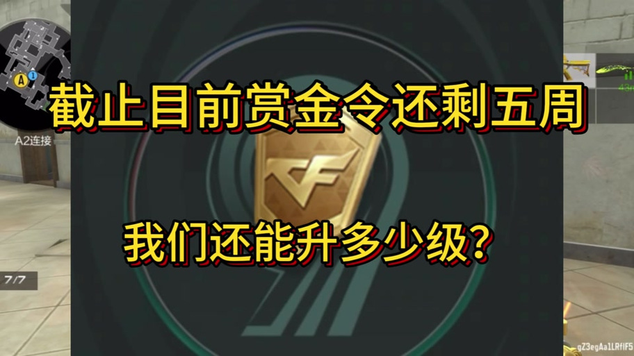 cf手游赏金令100级多少赏金币