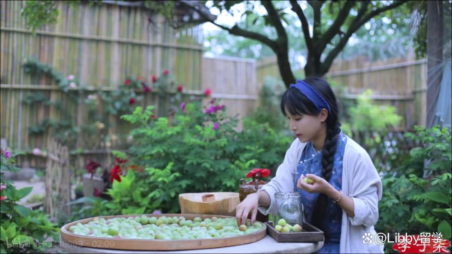 李子柒生活在那个地方图标