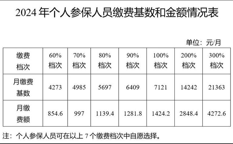 沈阳个人养老缴费明细查询图标