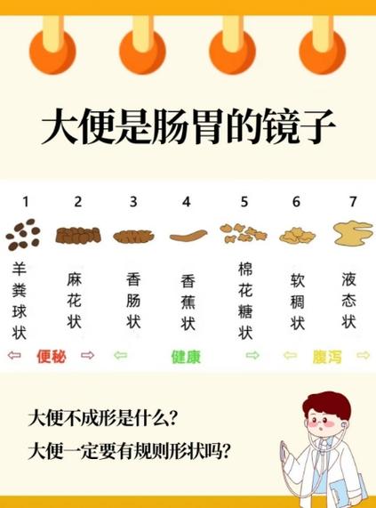 大便不成形经常放屁图标