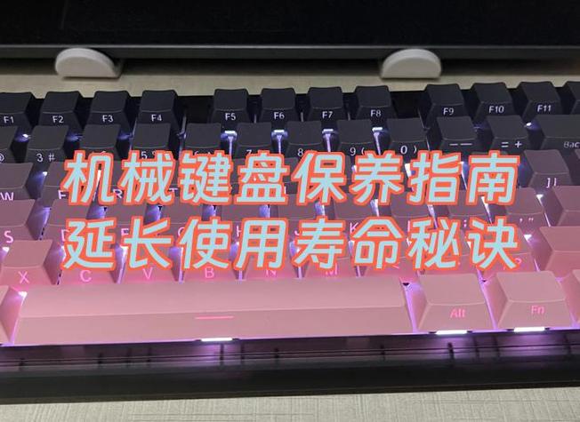 机械键盘寿命一般多久图标