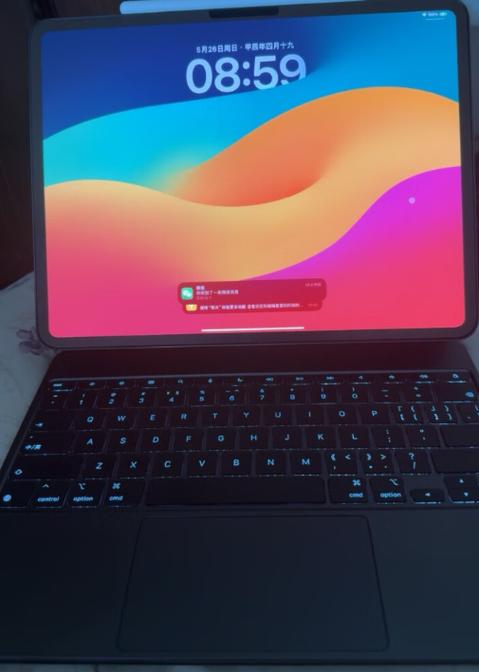 ipadpro待机一晚上掉电截图