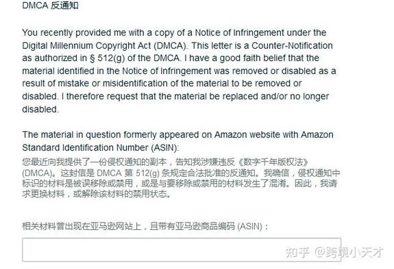 国外侵权可以国内起诉吗图标