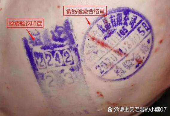 正常的猪肉盖什么章图标
