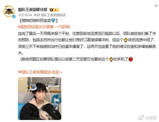 王者荣耀领队可以同意队员申请吗
