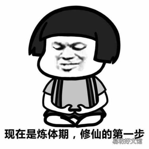 仙人的境界划分图标