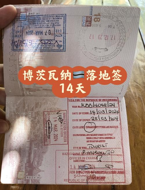 ticketbay过户截图