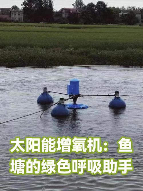 鱼缸怎么增氧图标