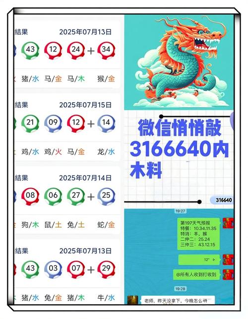盲人最佳答案一肖图标