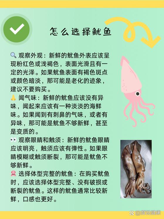 鱿鱼营养功效与作用图标