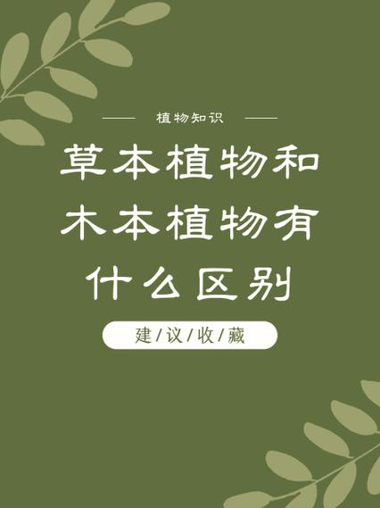 本草和草本有什么区别