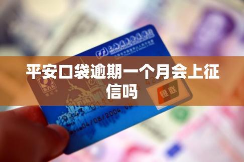 口袋钱包上征信吗图标