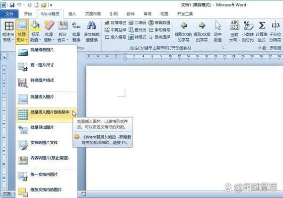 word精灵免费版图标