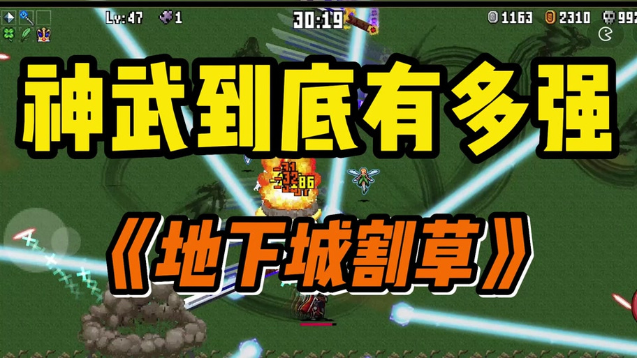 地下城割草无敌版图标