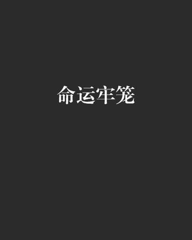 命运牢笼小说图标