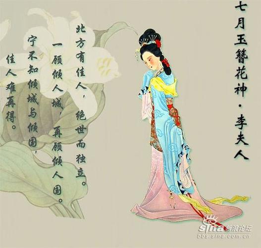 佳人这首歌是什么意思图标